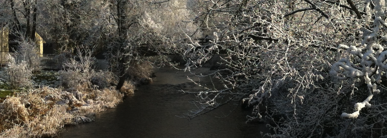 Snowy Mug – OVS.com