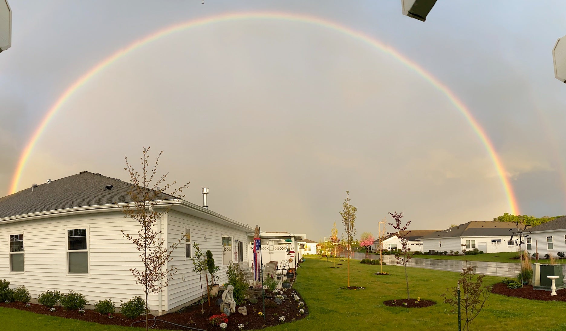 A Cold Lion – OVS.com